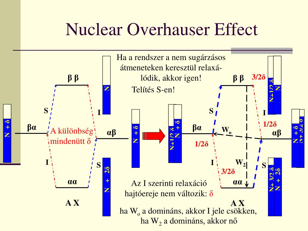 PPT - Az FT-NMR alapvető alkalmazásai PowerPoint Presentation, free ...