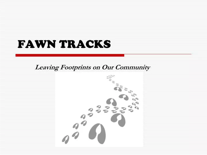 PPT - FAWN TRACKS PowerPoint Presentation, free download - ID:4120218