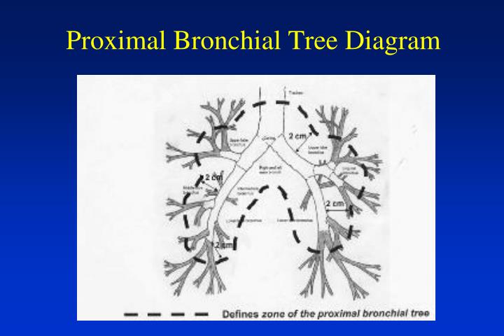 PPT - Complications; Best Ways to avoid and how to handle difficult ...