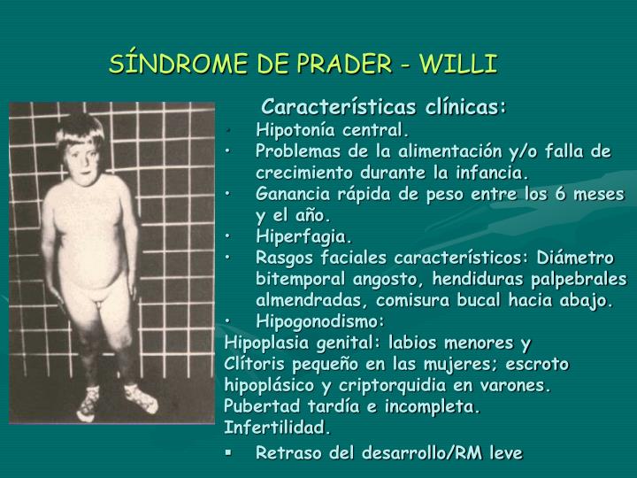 PPT - HERENCIA NO TRADICIONAL PowerPoint Presentation - ID:4120646