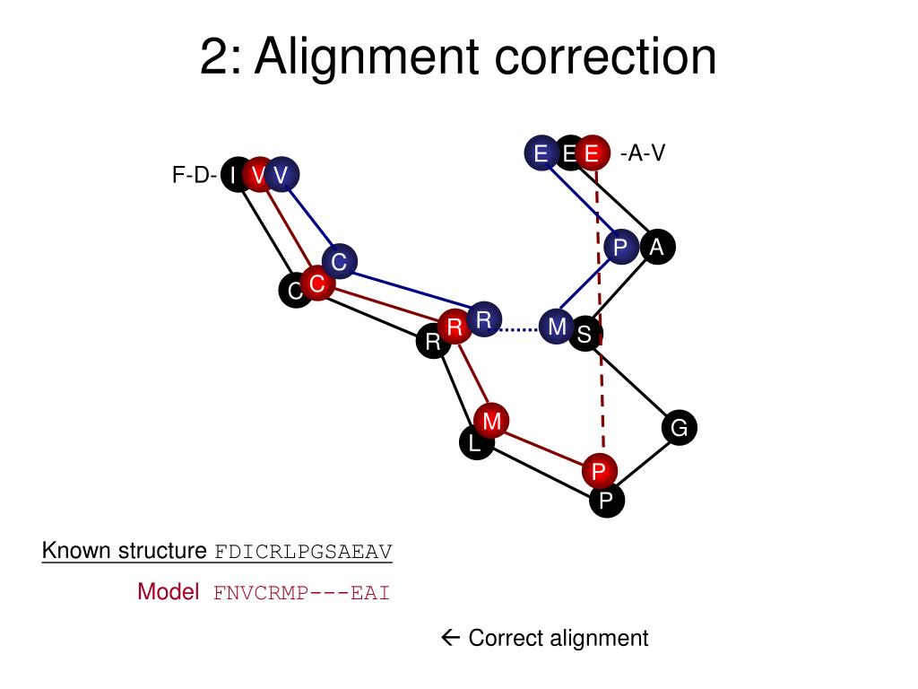 PPT - Applications of Homology Modeling PowerPoint Presentation, free ... PPT - Applications of Homology Modeling PowerPoint Presentation, free ...