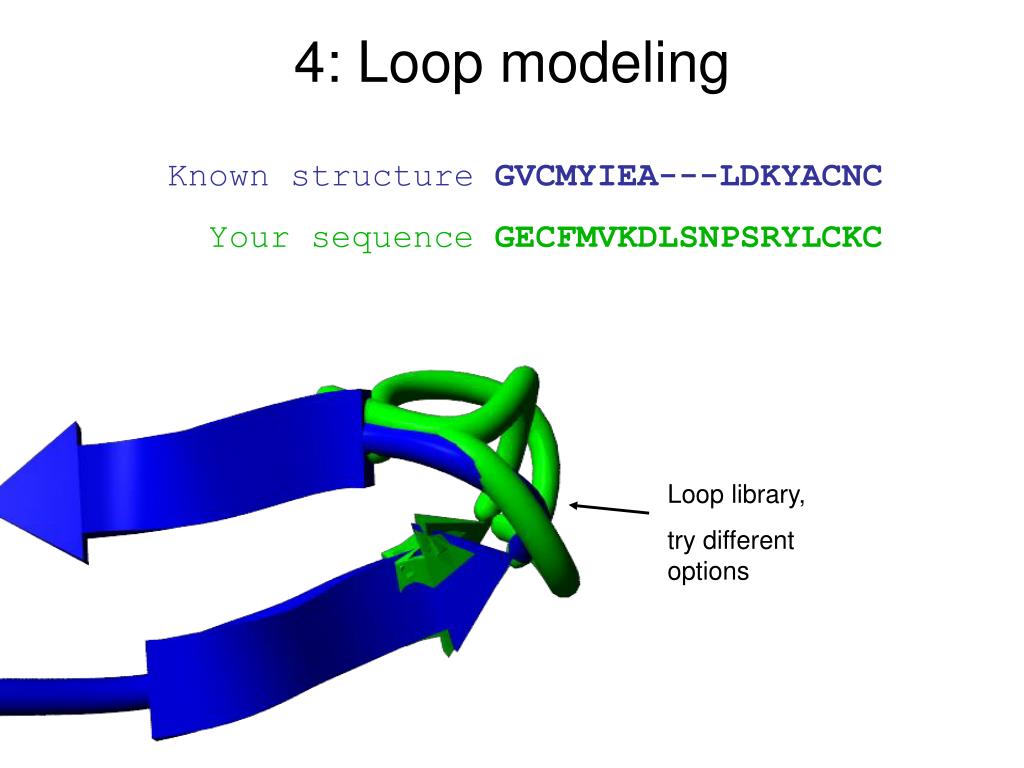 PPT - Applications of Homology Modeling PowerPoint Presentation, free ... PPT - Applications of Homology Modeling PowerPoint Presentation, free ...