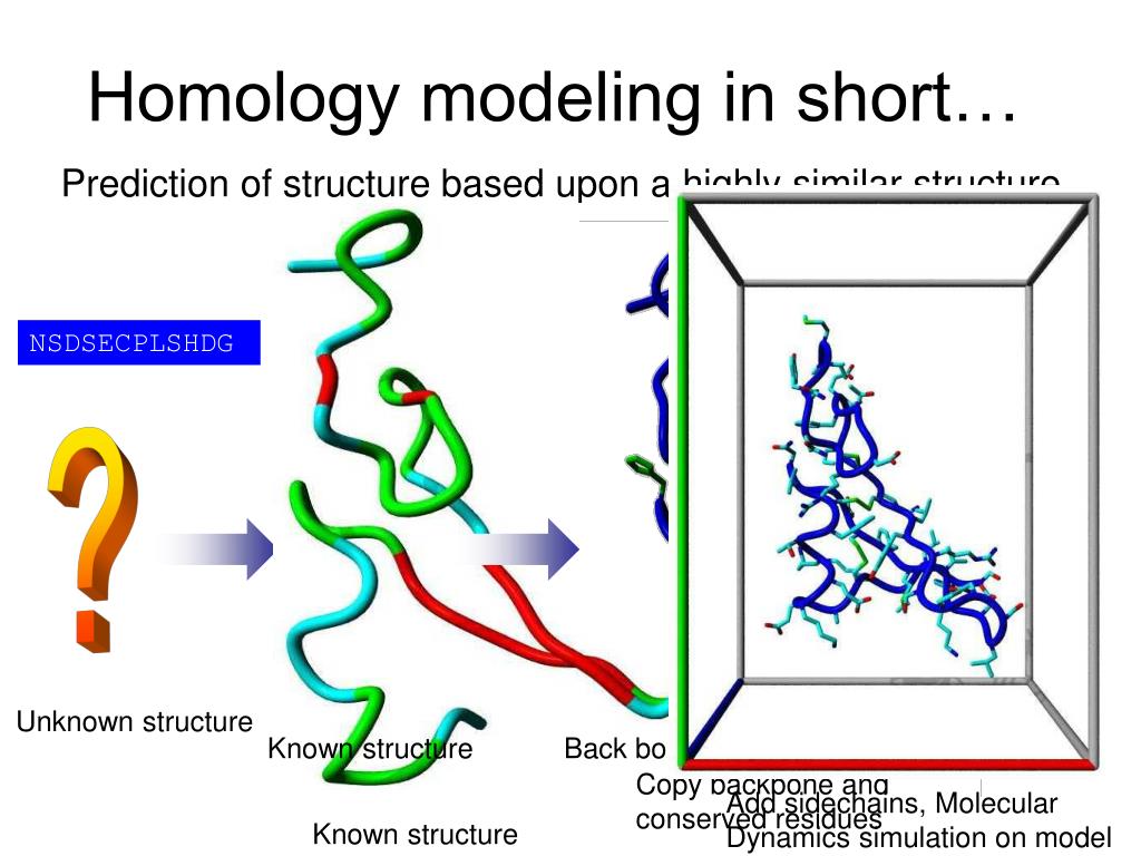 PPT - Applications of Homology Modeling PowerPoint Presentation, free ... PPT - Applications of Homology Modeling PowerPoint Presentation, free ...