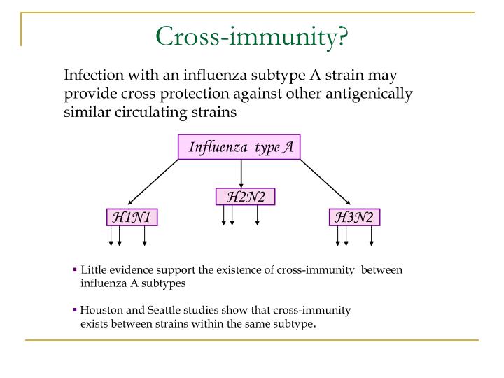PPT - The role of cross-immunity and vaccines on the survival of less ...