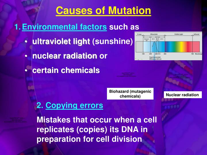 PPT - DNA: Blueprint for Life PowerPoint Presentation - ID:4121653