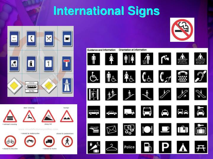 PPT - DNA: Blueprint for Life PowerPoint Presentation - ID:4121653