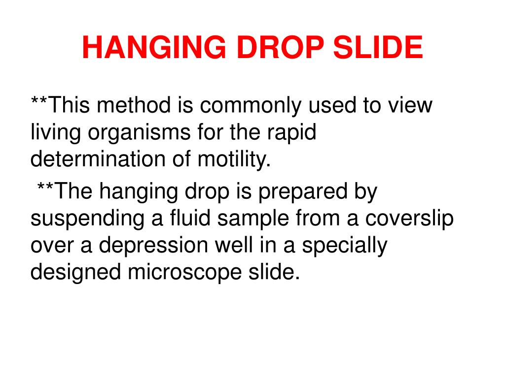 PPT - Bacterial Motility: Understanding Flagella and Agar Techniques ...