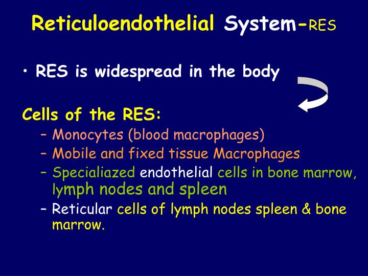 PPT - Hematopoiesis PowerPoint Presentation - ID:4122509