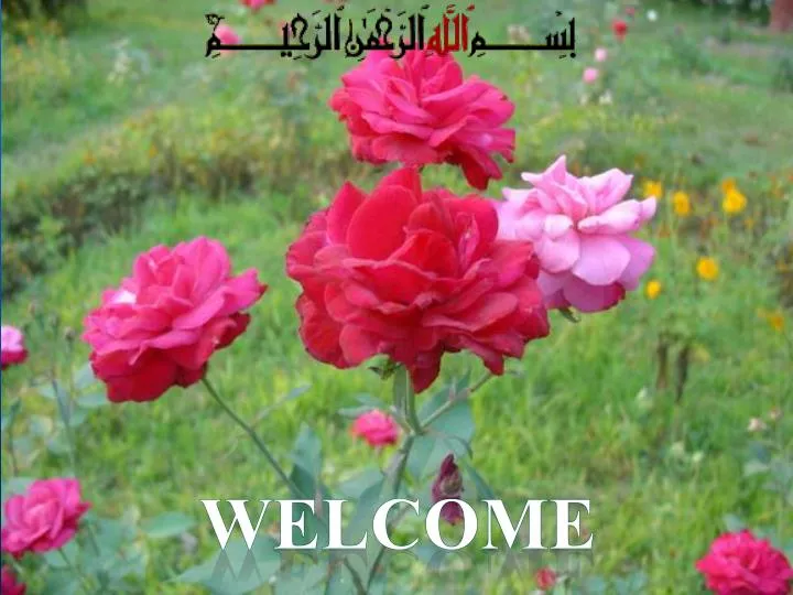 PPT - WELCOME PowerPoint Presentation, free download - ID:4123328