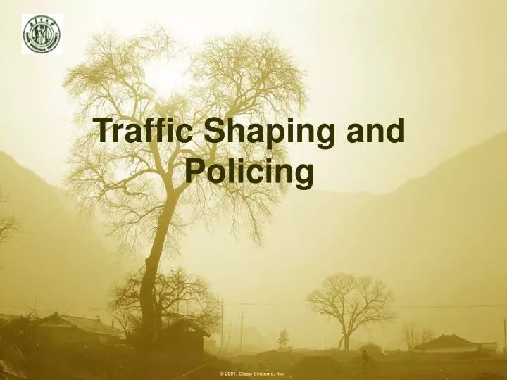 PPT - Traffic Shaping and Policing PowerPoint Presentation, free ...