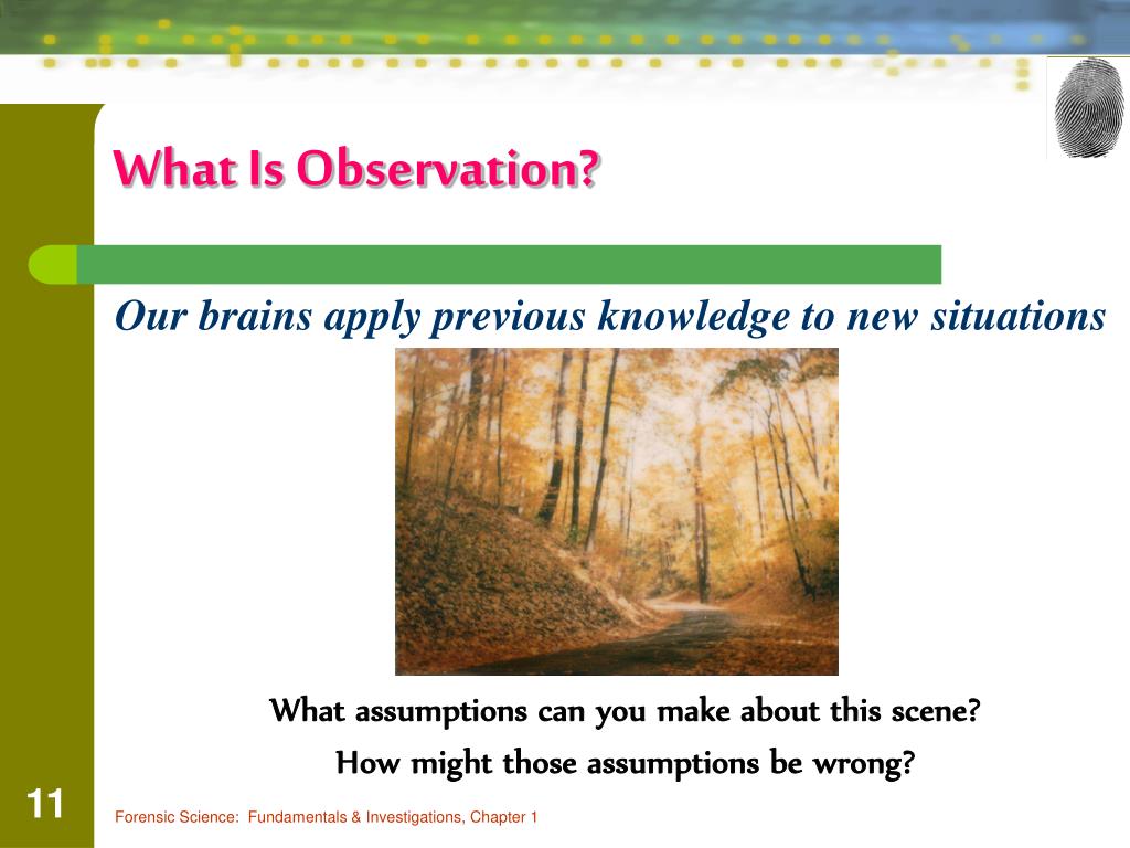 PPT Fall Semester Period 6 7 PowerPoint Presentation Free Download PPT Fall Semester Period 6 7 PowerPoint Presentation Free Download