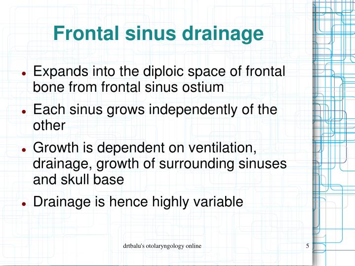 PPT - Radiological anatomy of Frontal sinus PowerPoint Presentation ...