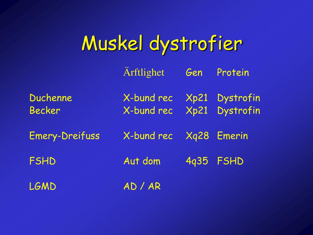 PPT - Myopati PowerPoint Presentation, free download - ID:4125058