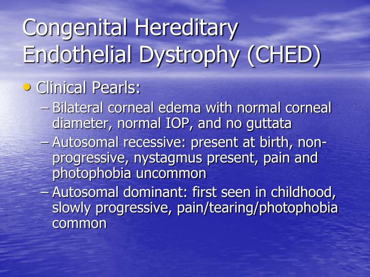 PPT - Corneal Dystrophies and Degenerations PowerPoint Presentation ...