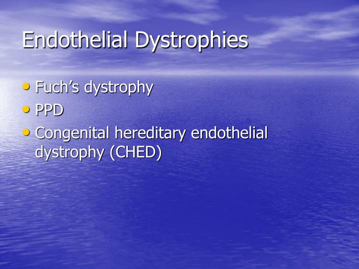 PPT - Corneal Dystrophies and Degenerations PowerPoint Presentation ...