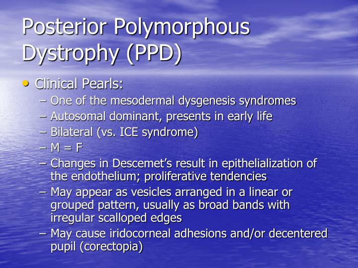 PPT - Corneal Dystrophies and Degenerations PowerPoint Presentation ...