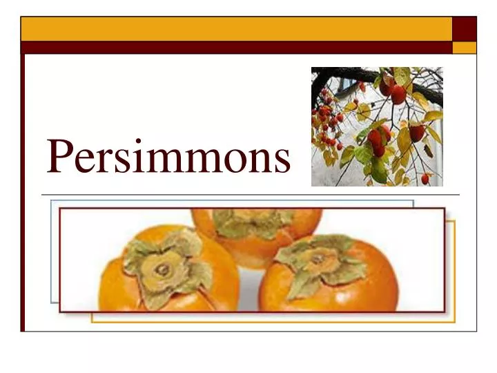 PPT - Persimmons PowerPoint Presentation, free download - ID:4131570