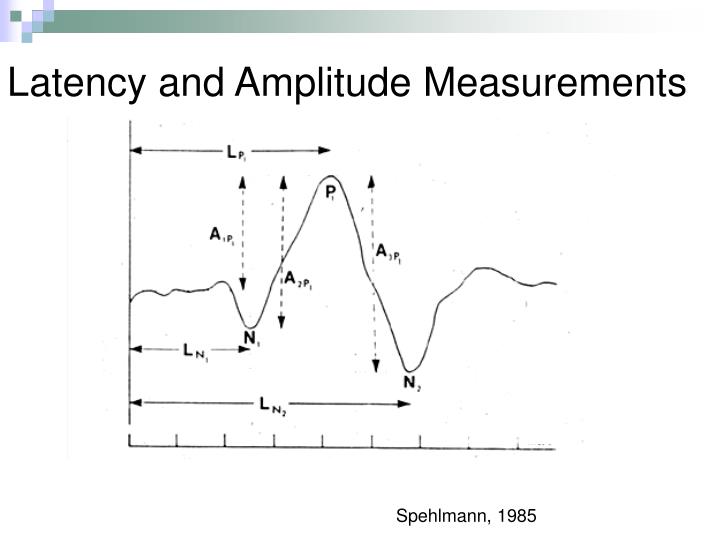 PPT - Visual Evoked Potentials PowerPoint Presentation - ID:4131735