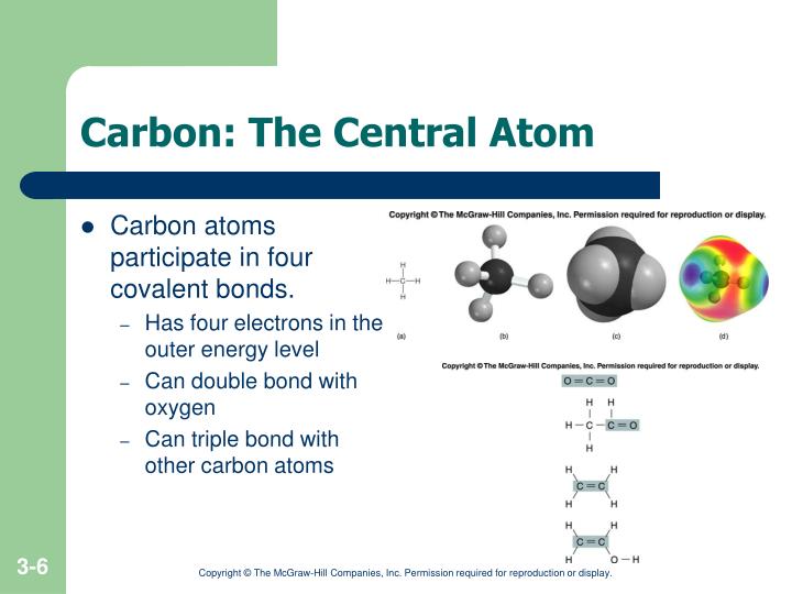 PPT - Chapter 3 Lecture Outline See PowerPoint Image Slides for all ...