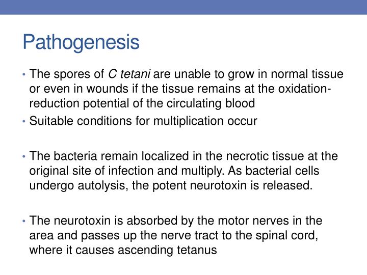 PPT - Tetanus PowerPoint Presentation - ID:4132233