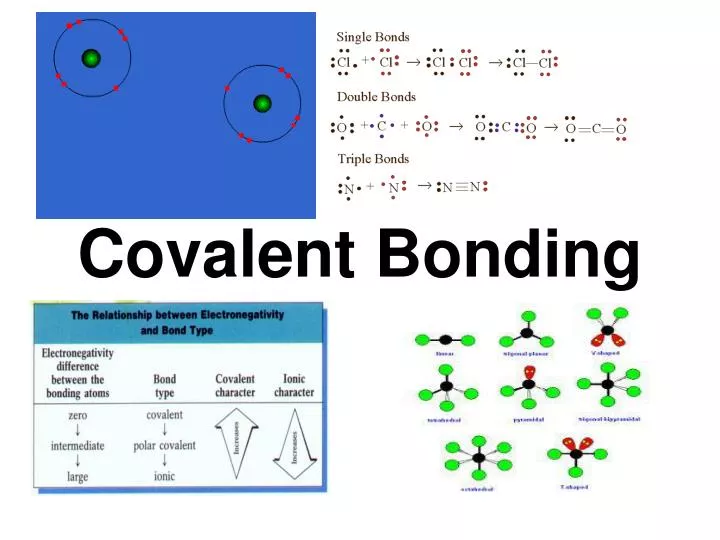 PPT - Covalent Bonding PowerPoint Presentation, free download - ID:4132371