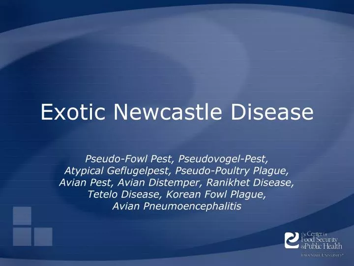 PPT - Exotic Newcastle Disease PowerPoint Presentation, free download ...