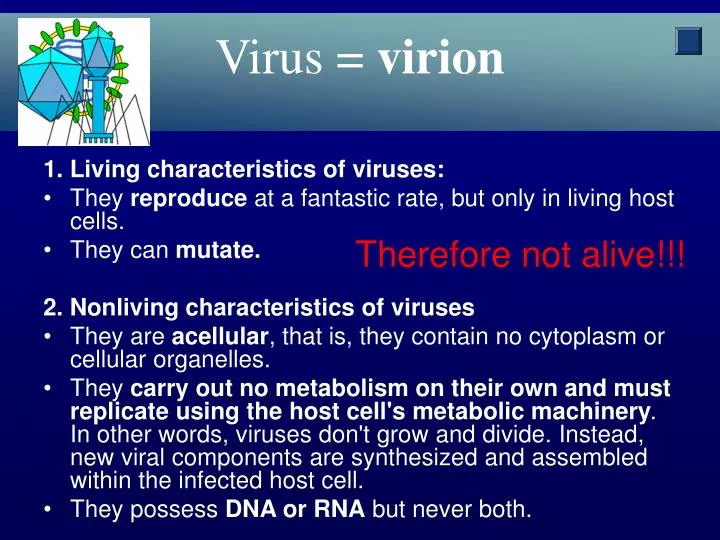 PPT - Virus = virion PowerPoint Presentation, free download - ID:4132910