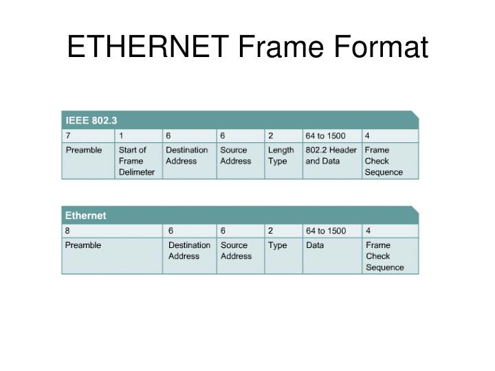 PPT - Metro/Wide Area Ethernet PowerPoint Presentation - ID:4133710