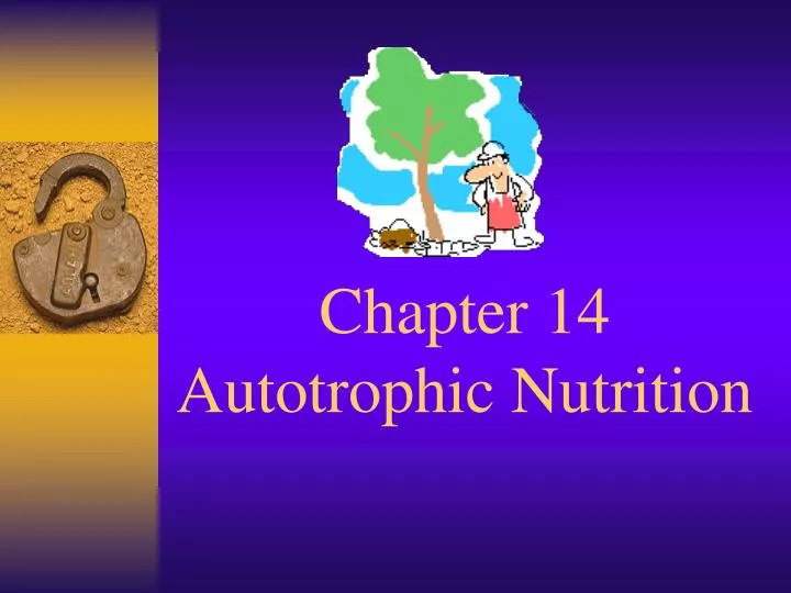 PPT - Chapter 14 Autotrophic Nutrition PowerPoint Presentation, free ...