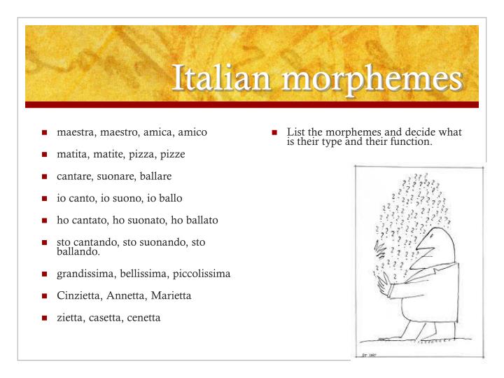 PPT - Morphology PowerPoint Presentation - ID:4136112