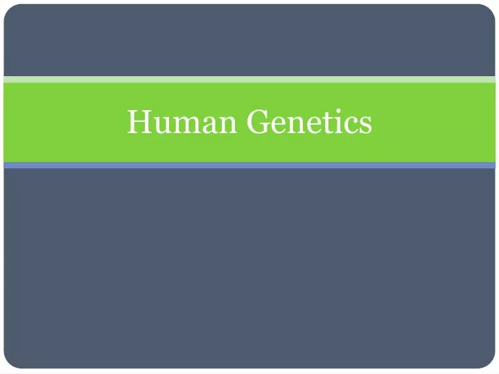 PPT - Human Genetics PowerPoint Presentation, free download - ID:4136368