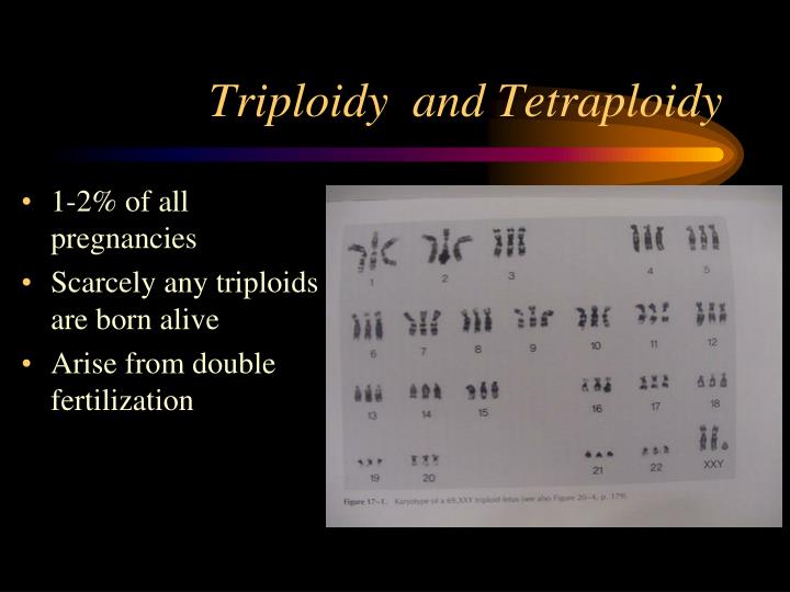 PPT - Human Genetic Disorders PowerPoint Presentation - ID:4136462