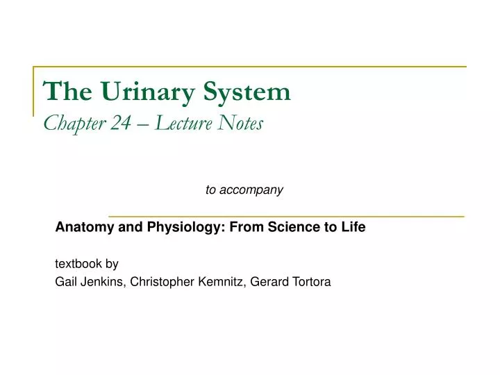 PPT The Urinary System Chapter 24 Lecture Notes PowerPoint 