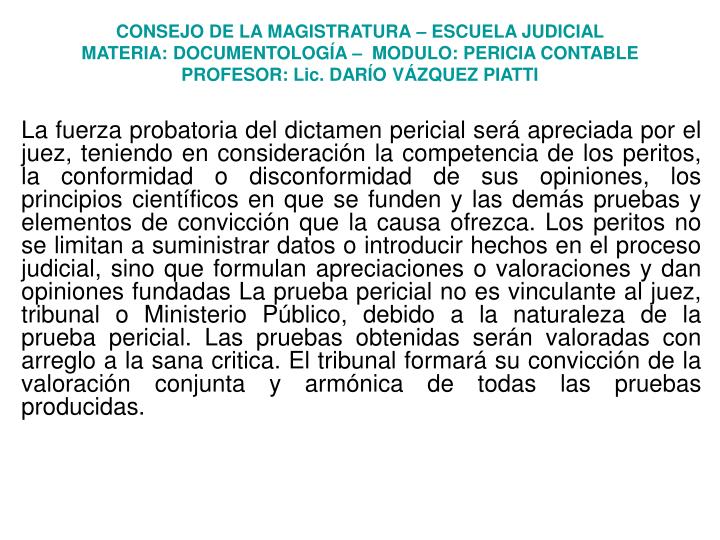 PPT - LA PERICIA CONTABLE PowerPoint Presentation - ID:4137603