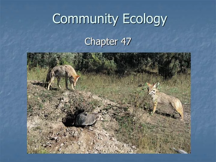 PPT - Community Ecology PowerPoint Presentation, free download - ID:4138747