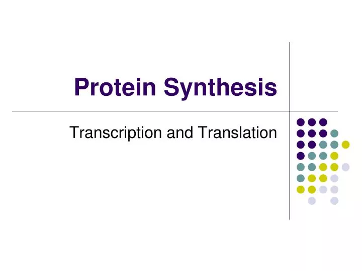 PPT - Protein Synthesis PowerPoint Presentation, free download - ID:4138852