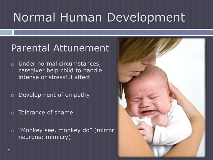 PPT - Narcissistic Personalities PowerPoint Presentation - ID:4139520