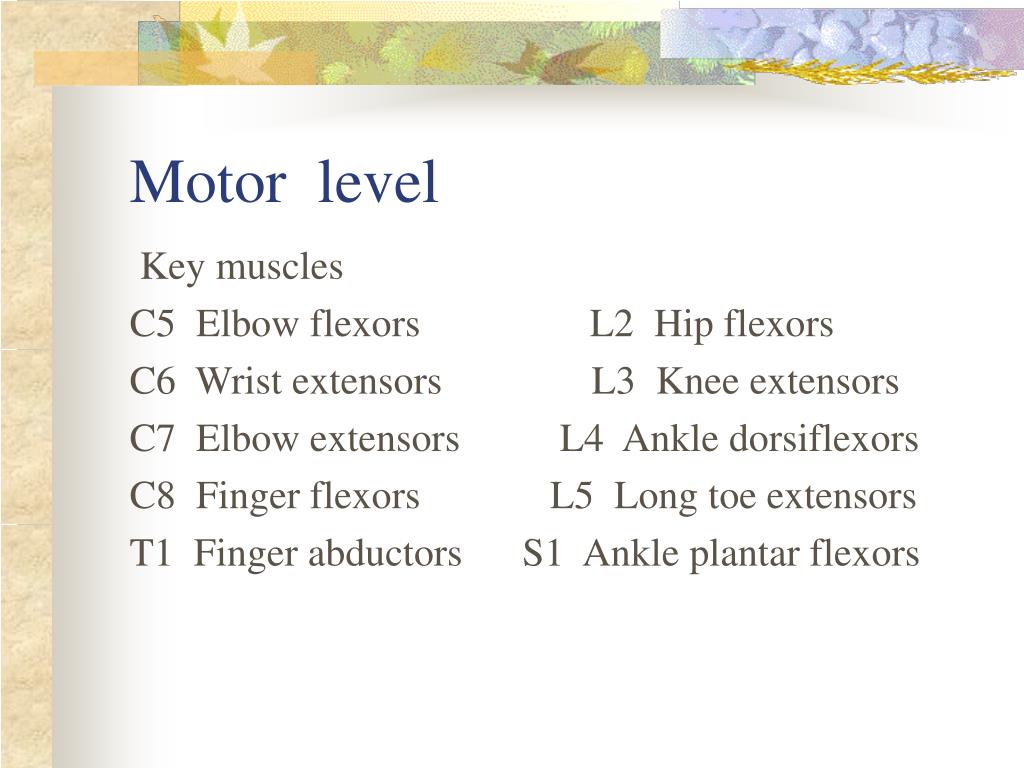 PPT - ASIA Impairment scale PowerPoint Presentation, free download - ID ...