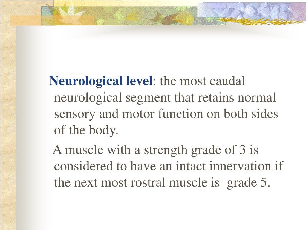 PPT - ASIA Impairment scale PowerPoint Presentation, free download - ID ...