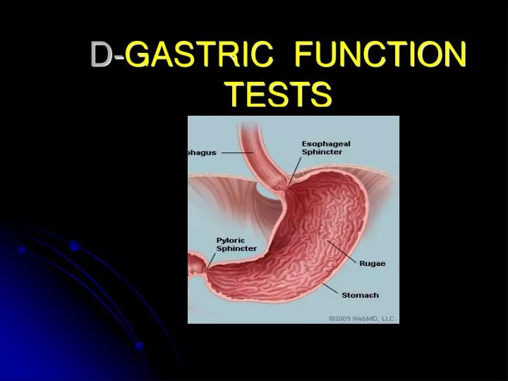 PPT - D- GASTRIC FUNCTION TESTS PowerPoint Presentation, free download ...