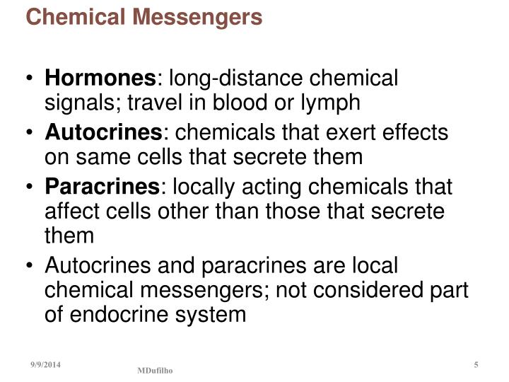 PPT - The Endocrine System: Part 1 PowerPoint Presentation - ID:4144963