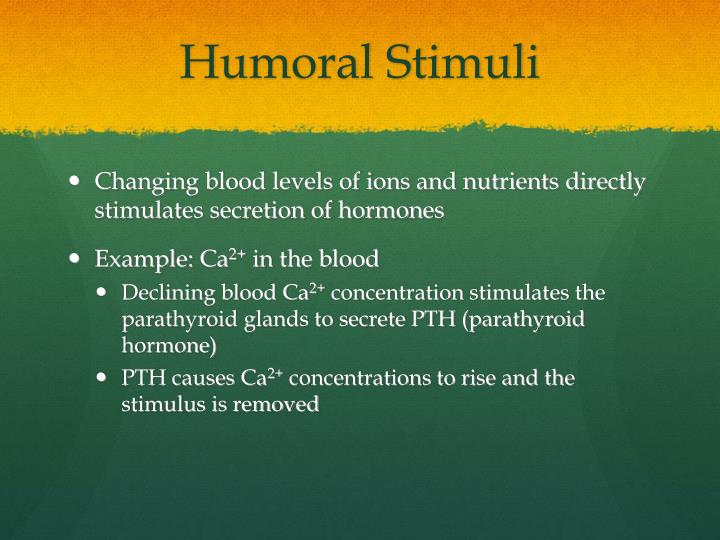 PPT - The Endocrine System: PowerPoint Presentation - ID:4145043