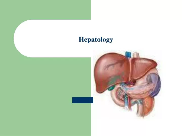 PPT - Hepatology PowerPoint Presentation - ID:4145083