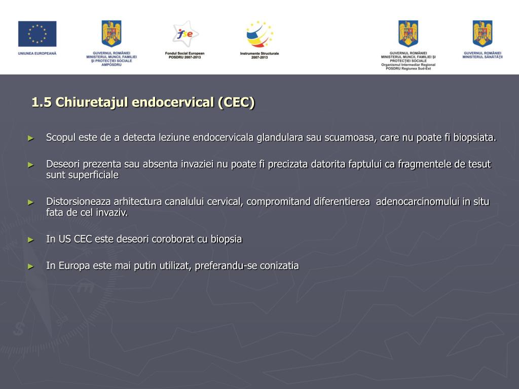 PPT - Chisinau, Moldova, 3-4 Decembrie 2012 Florian Alexandru Nicula ...