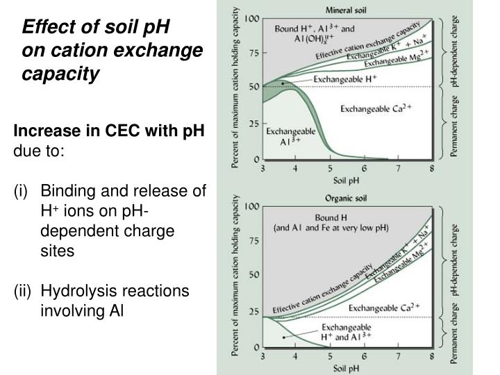 PPT - Soil Colloids and Cation Exchange Capacity PowerPoint ...