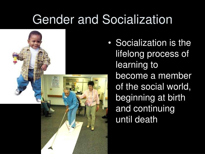 PPT - gender PowerPoint Presentation - ID:4149164