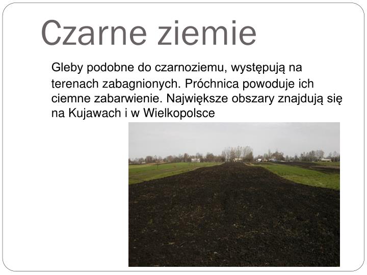 PPT - Rodzaje gleb w Polsce PowerPoint Presentation - ID:4149553