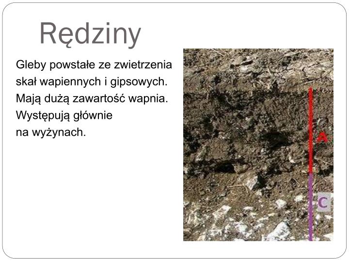 PPT - Rodzaje gleb w Polsce PowerPoint Presentation - ID:4149553