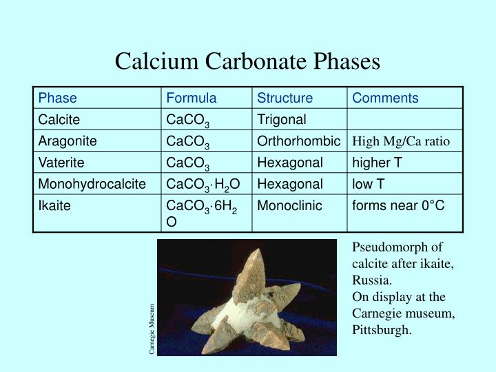 PPT - The Fascinating World of Biominerals PowerPoint Presentation - ID ...