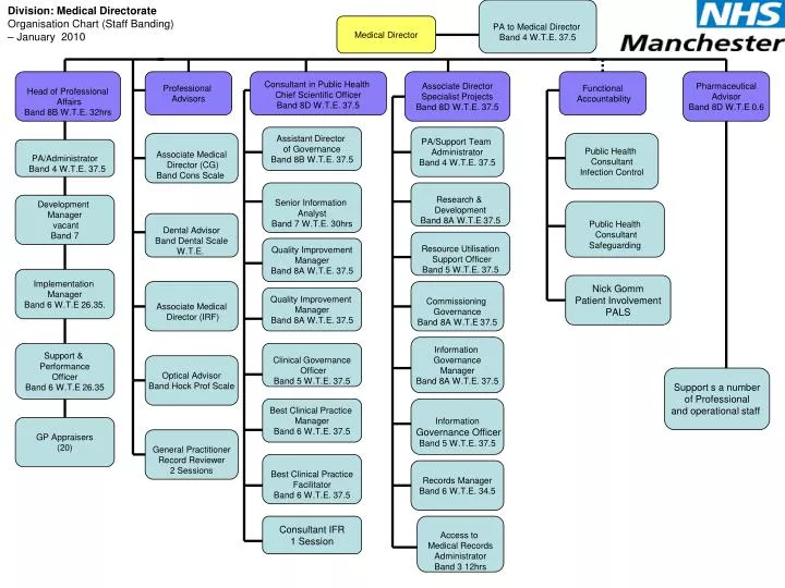 PPT - Division: Medical Directorate Organisation Chart (Staff Banding ...
